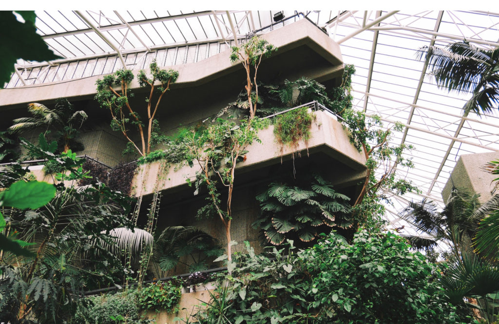 London's Best Connected Neighbourhood - The Area - Verdant - Verdant